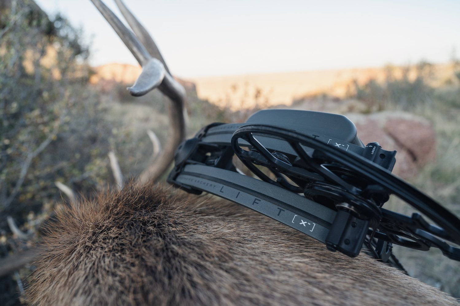 Canada Archery Online - Bows, Arrows, Archery Equipment and Supplies.