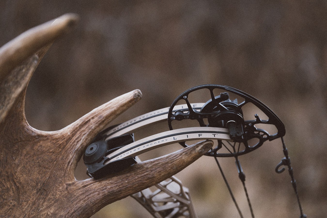 Canada Archery Online - Bows, Arrows, Archery Equipment and Supplies.